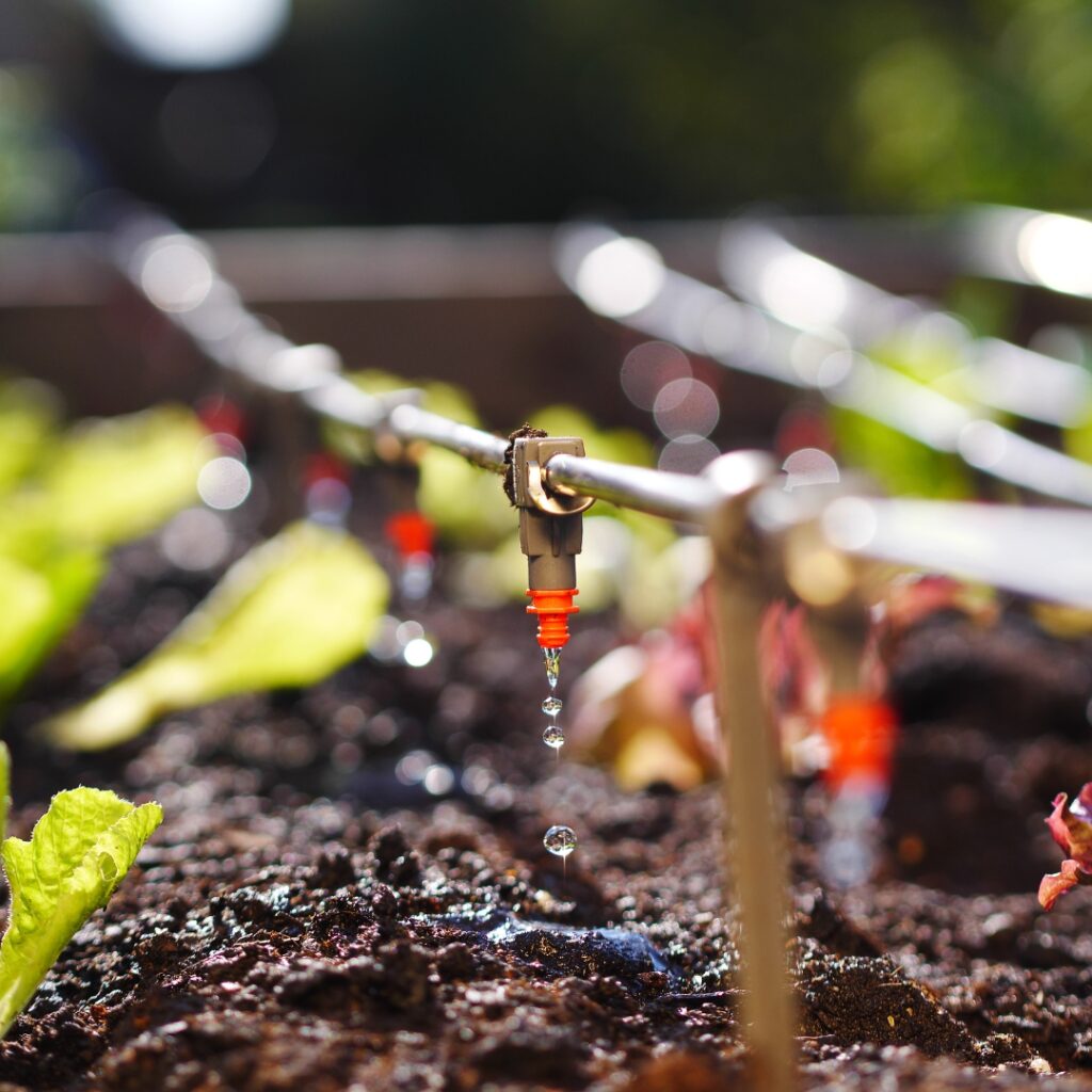 Nature-Based Lesson Plans for All Ages - Classroom Ideas
