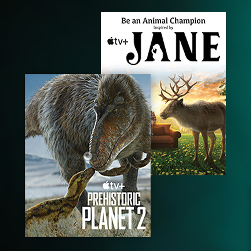 Discover Engaging Lessons for Kids – Start Learning!